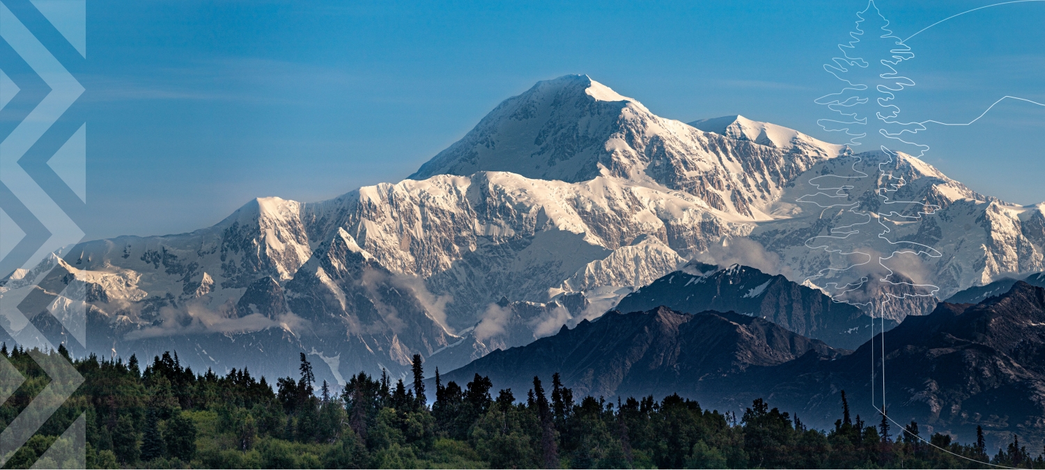 Homepage | Doyon Government Group